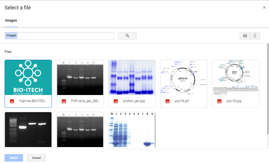 Google Drive
